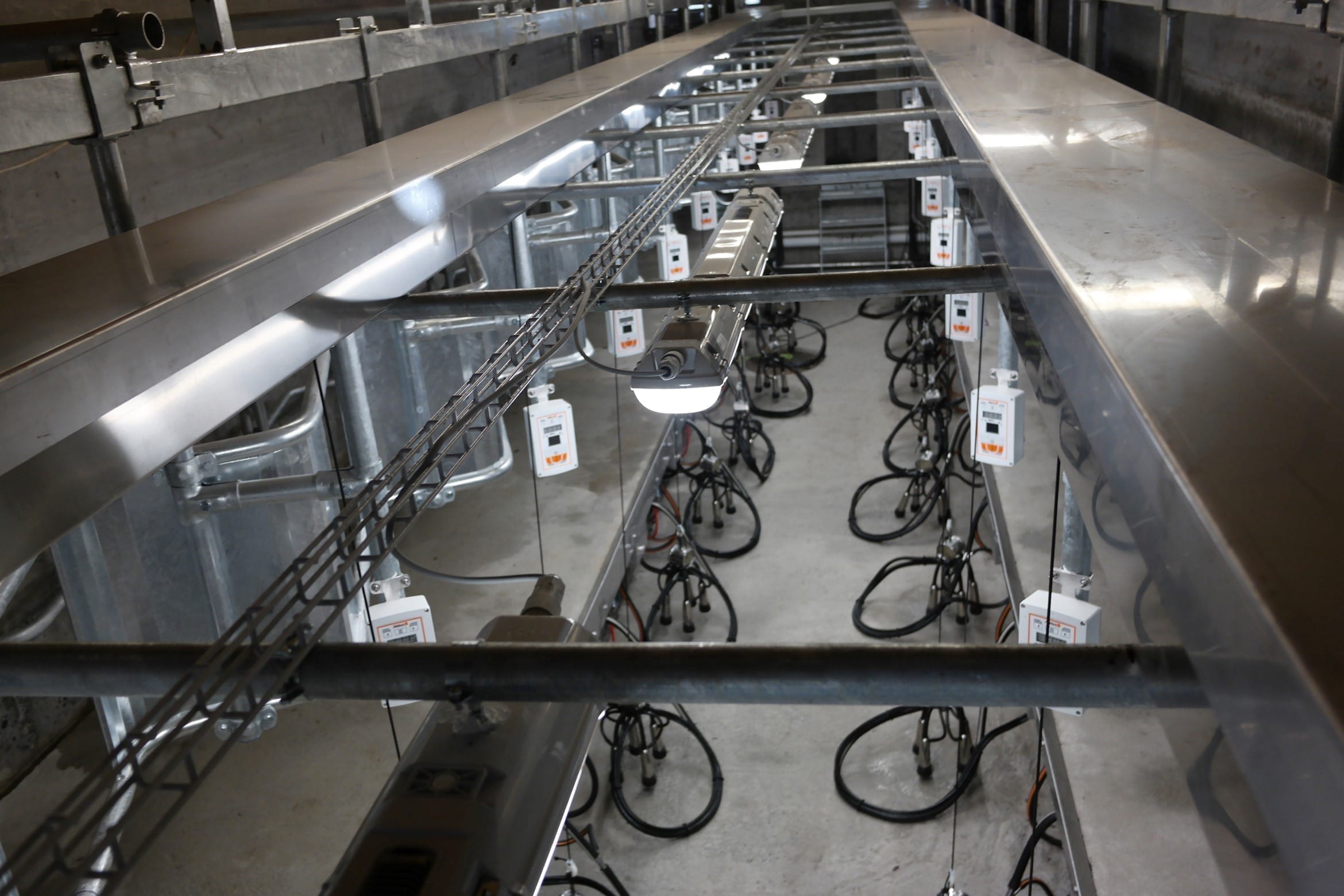 USA NEW Cow Plant - PANAZOO - Tailor made farm solutions