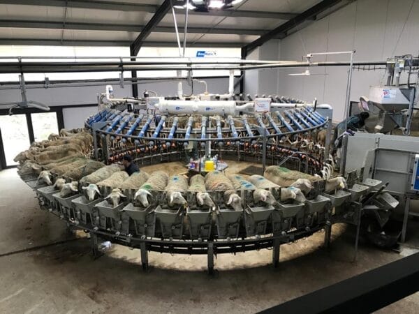 France – New roto plant 58 points for sheeps - PANAZOO - Tailor made ...