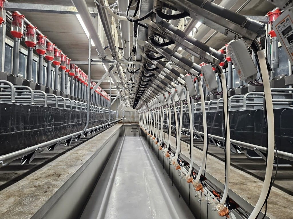 Milk parlor designs and efficiency in dairy - PANAZOO - Tailor made ...